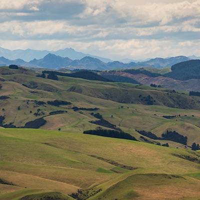 Rural Subdivisions Archives - Survus Rural Consultants